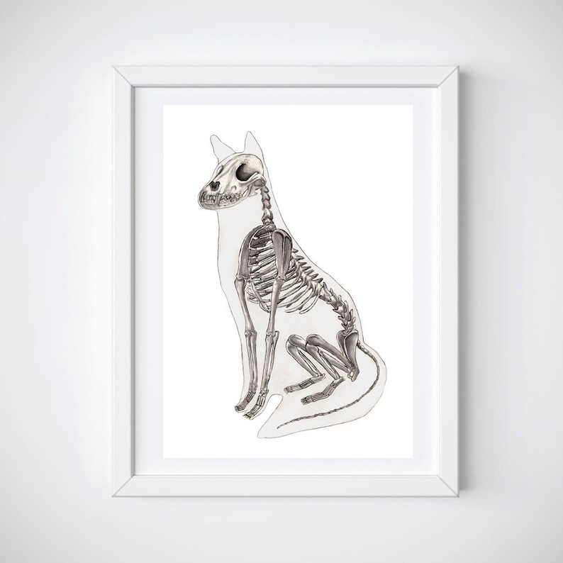 Fox Skeleton Art Print: Anatomy Wall Artwork Watercolor - Etsy