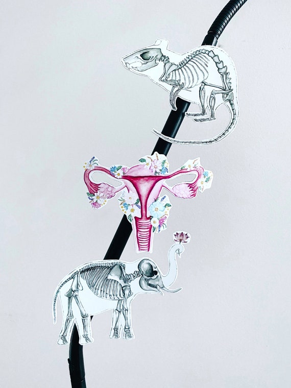 Floral Uterus Anatomy Magnet Midwife Gynecologist Gift Blooming Female ...