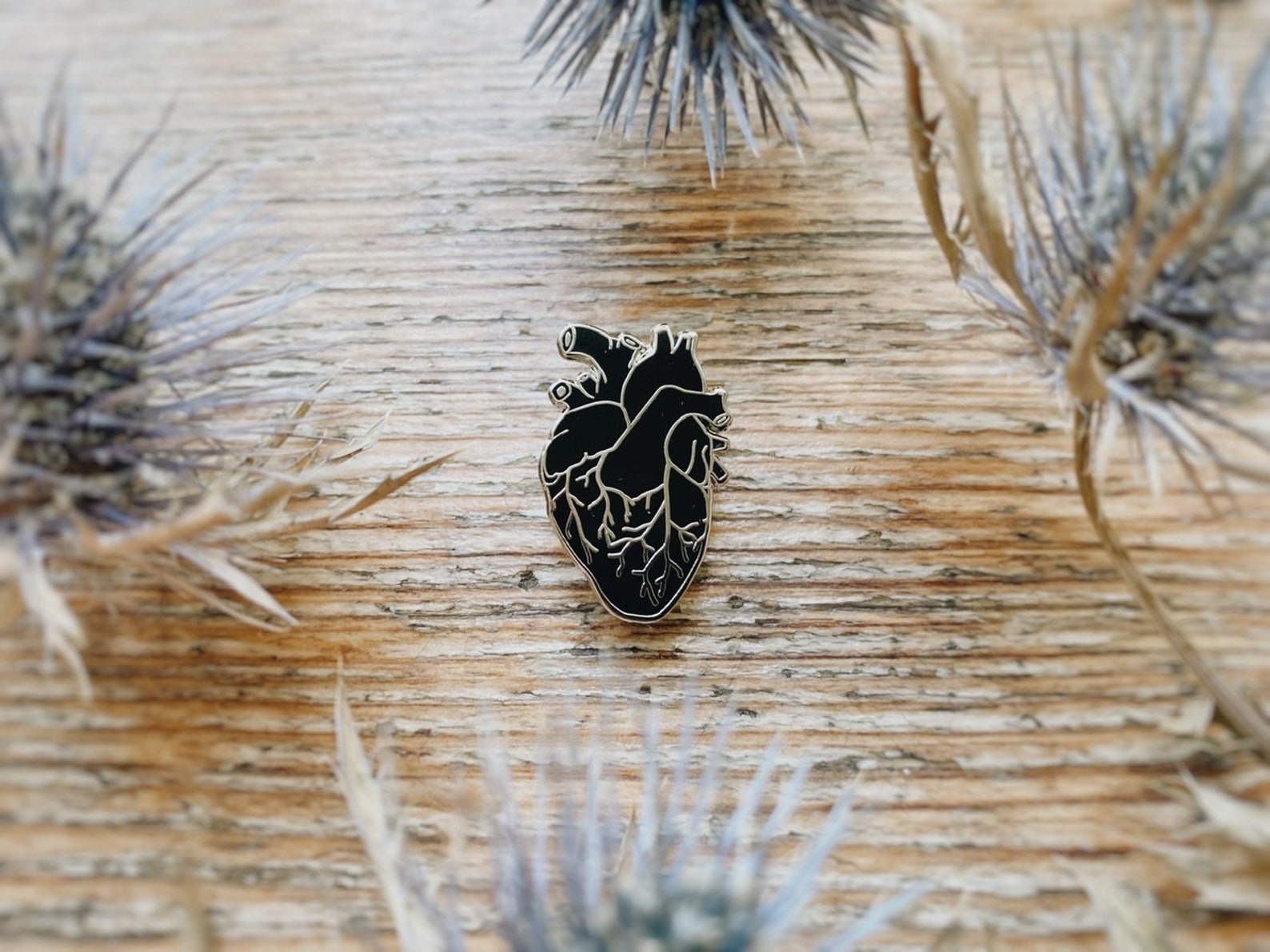 Set of Anatomical Human Heart Enamel Pin: Medical Anatomy Pin | Etsy