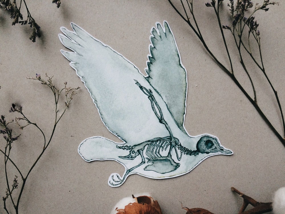 Bird Skeleton Sticker: Pigeon Anatomy Animal Biology Laptop | Etsy