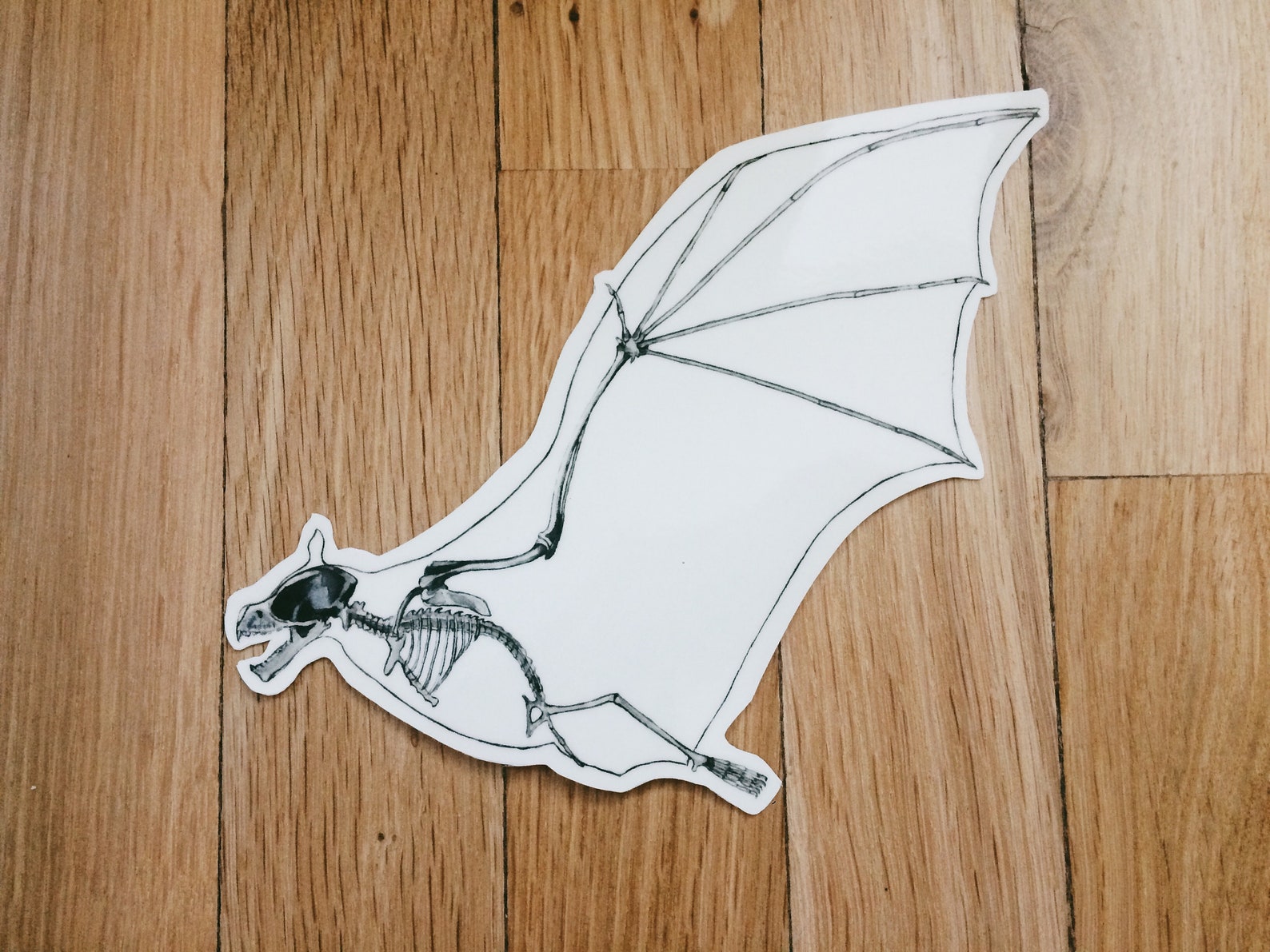 Glowing Bat Skeleton Sticker: Glowing in the Dark Vinyl, Cool Halloween ...