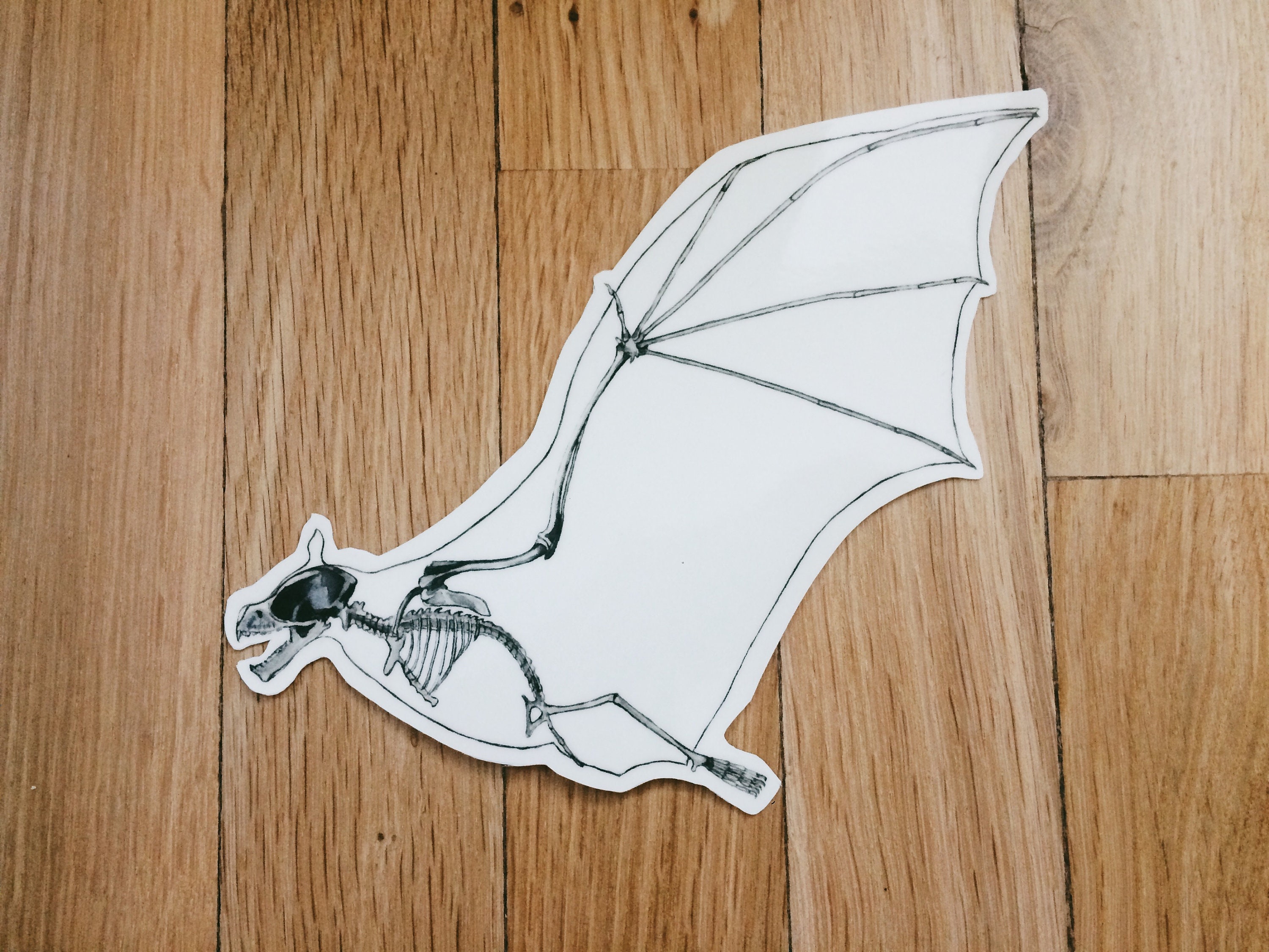 Glowing Bat Skeleton Sticker: Glowing in the Dark Vinyl Cool | Etsy