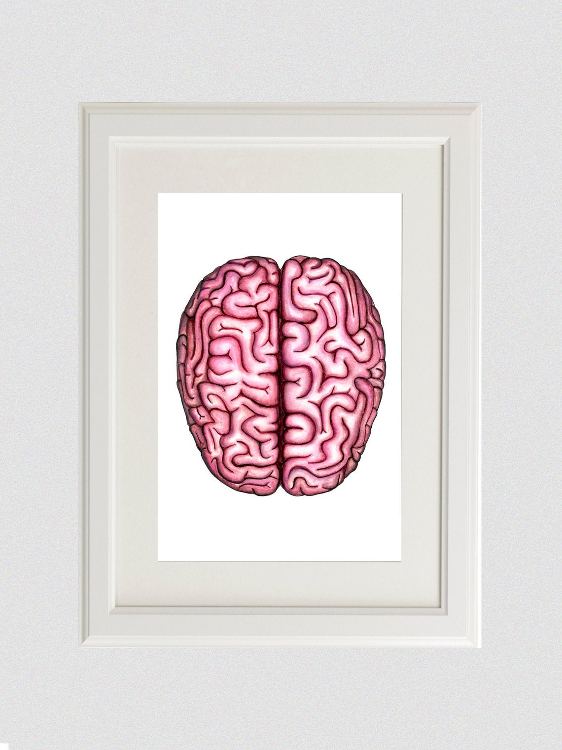 Human Brain Anatomy Print: Anatomical Poster Watercolor Art - Etsy