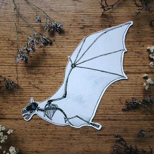 Bat Skeleton Enamel Pin: Glowing in the Dark, Animal Anatomy, Horror ...