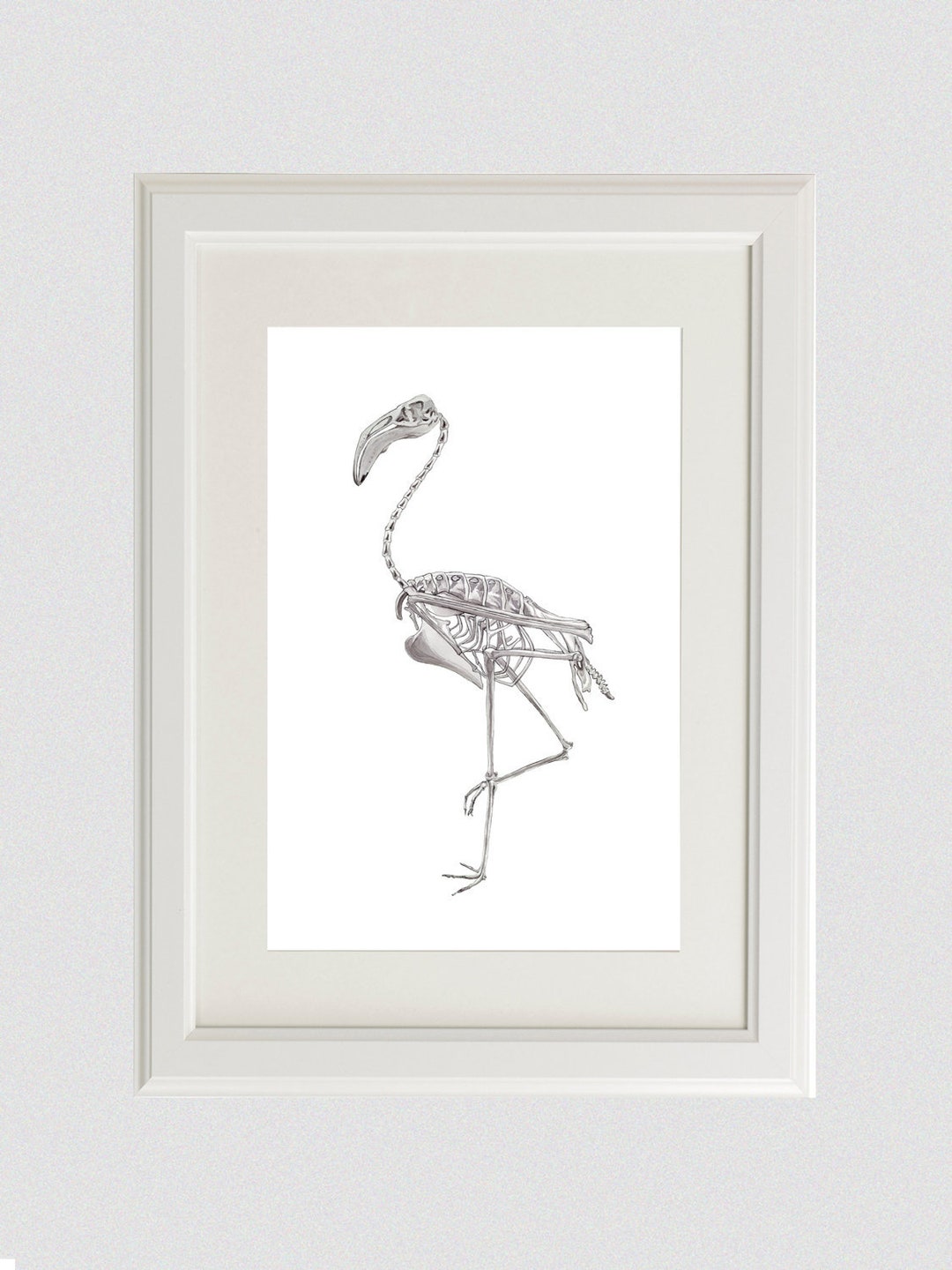 Flamingo Skeleton Print: Bird Animal Anatomy, Gothic Home Decor - Etsy