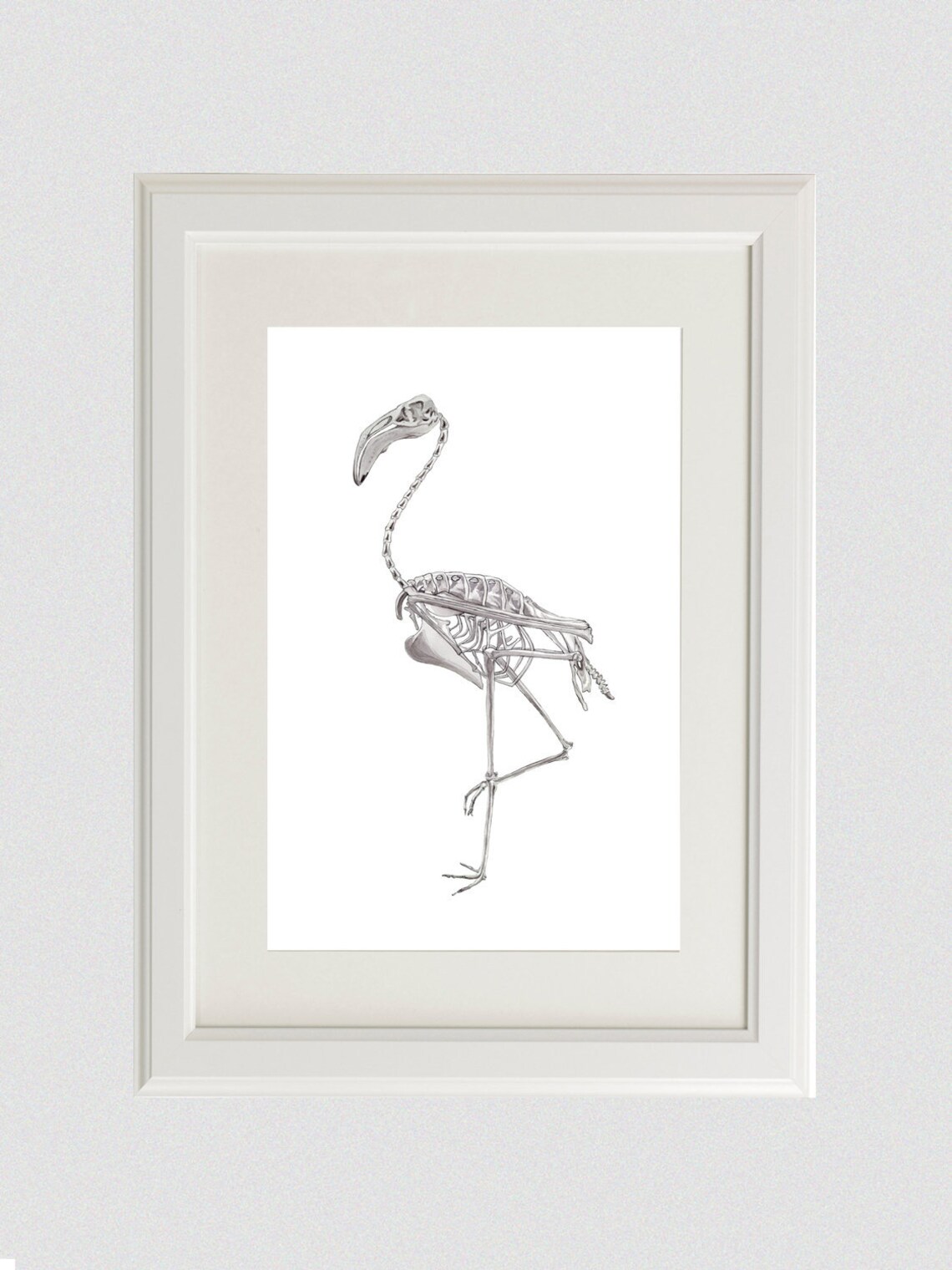 Flamingo Skeleton Print: Bird Animal Anatomy Gothic Home - Etsy