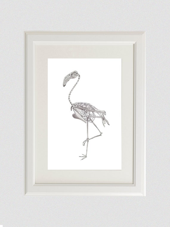 Flamingo Skeleton Print: Bird Animal Anatomy Gothic Home | Etsy