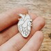 White Human Heart Enamel Pin: Small Anatomical Pin 1 Inch - Etsy