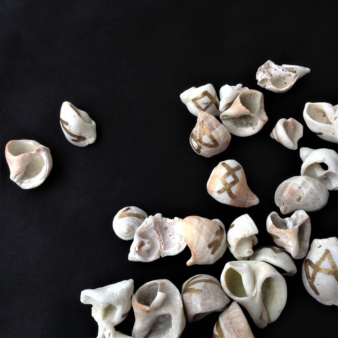Spiral Shore Sea Shell Runes - Etsy