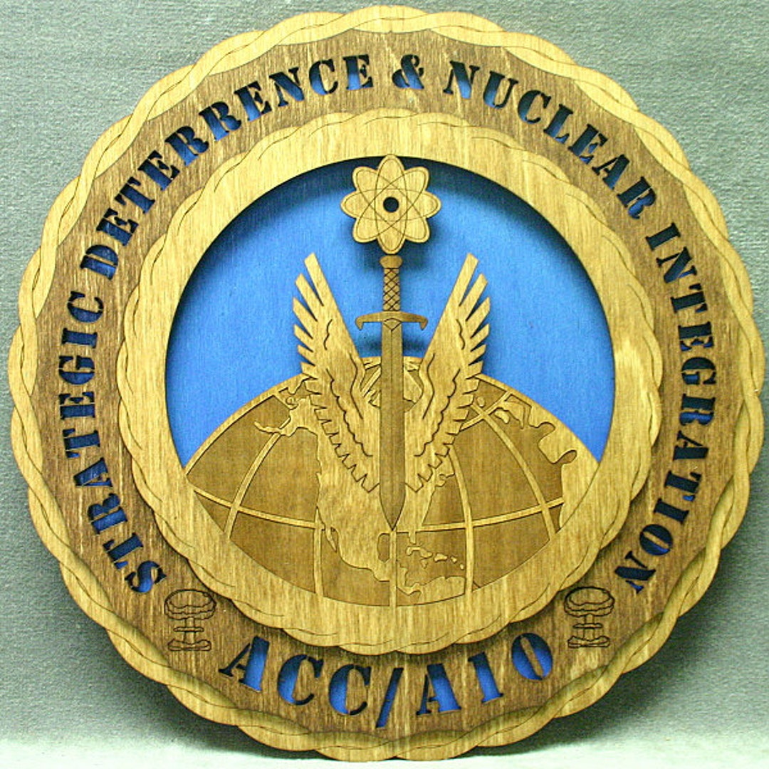 Custom US Air Force ACC/A10 Wood Wall Tribute - 12 Inch - Etsy