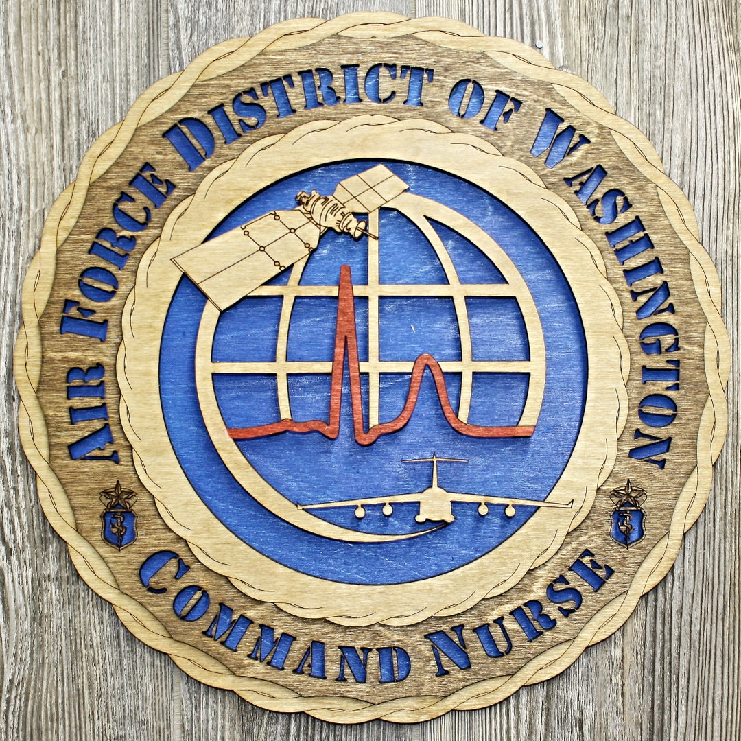 Air Force AFMS Logo Wall Tribute - Etsy