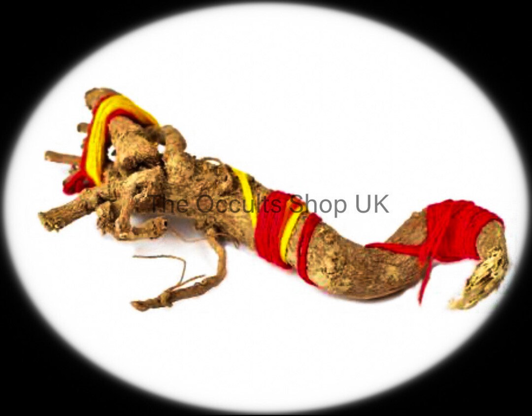 Apamaraga - Root of Destiny - Luck Charm - Talisman - Magik Ritual Kit ...