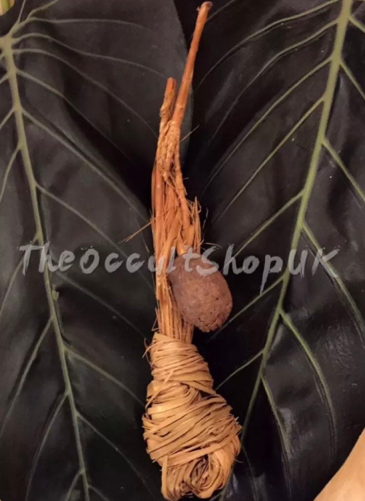 Rare Kush Ka Bandha - Naturally Knotted Kusha Plant & Bezoar Stone ...