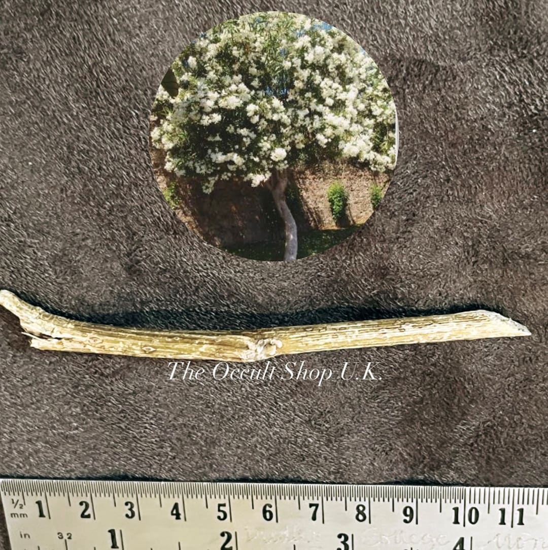 Wooden Spell Writing Reed Pen Stick Pomegranate / Jasmine Wooden Anar ...