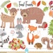 Forest Animals Clipart- Woodland Animals Clip Art-woodland Clipart-deer ...