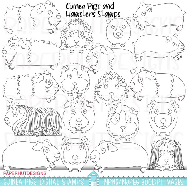 Pig Clip Art - Etsy