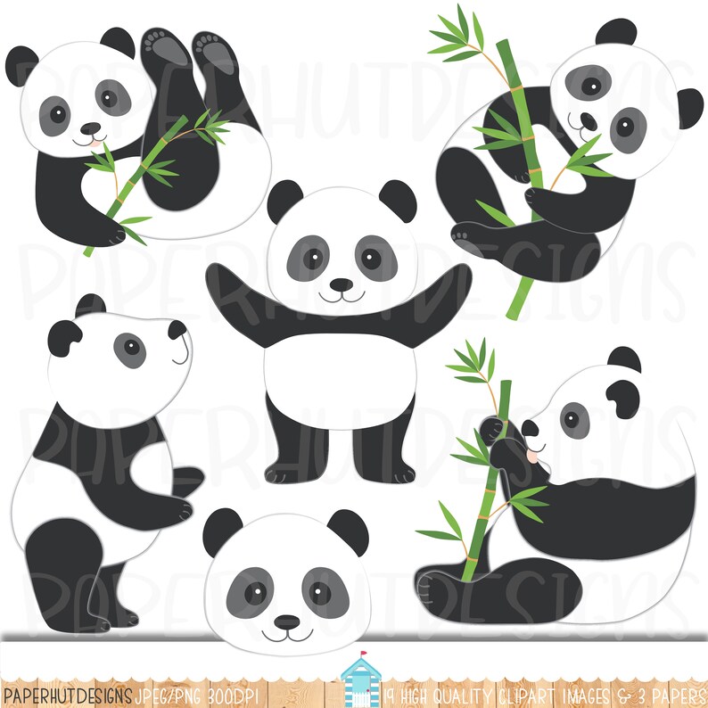 Panda Clipart and Digital Papers Set: Digital Download - Etsy