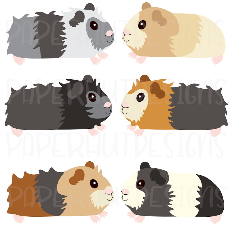 Guinea Pigs Clipartcute Guineapigs Clip Artguinea Pigs - Etsy