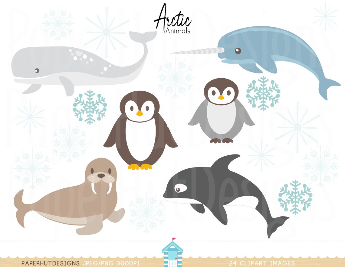 Arctic Animals Clipart-polar Animals Clipart-arctic Animals | Etsy