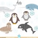 Arctic Animals Clipart-polar Animals Clipart-arctic Animals Clip Art ...