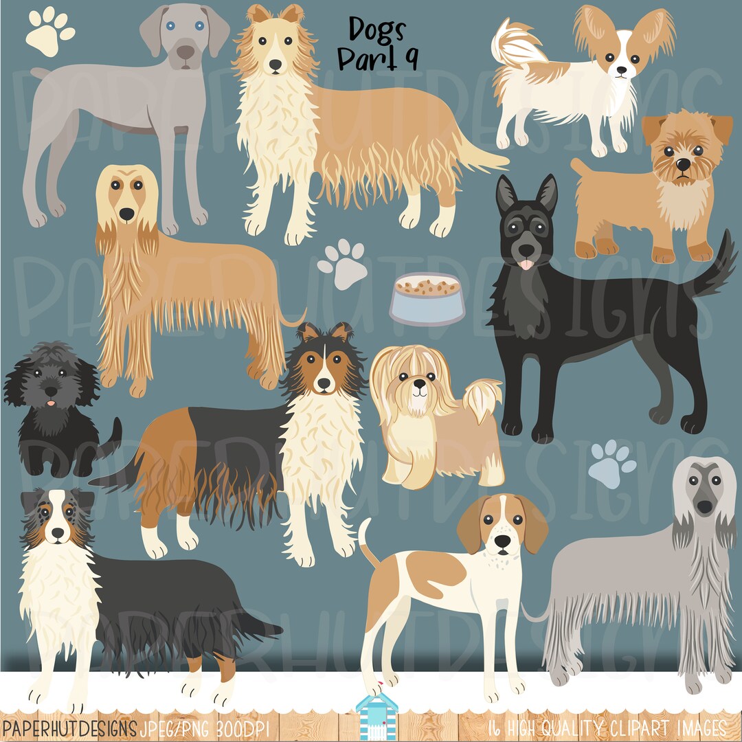 Dog Clipart|dog Clip Art|dog Illustrations|puppy Dogs|afghan Hound ...