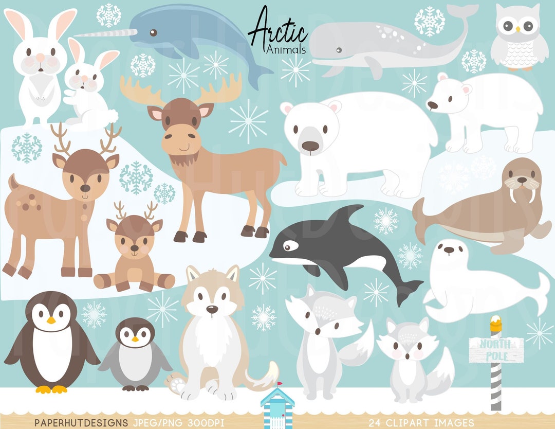 Arctic Animals Clipart-polar Animals Clipart-arctic Animals Clip Art ...