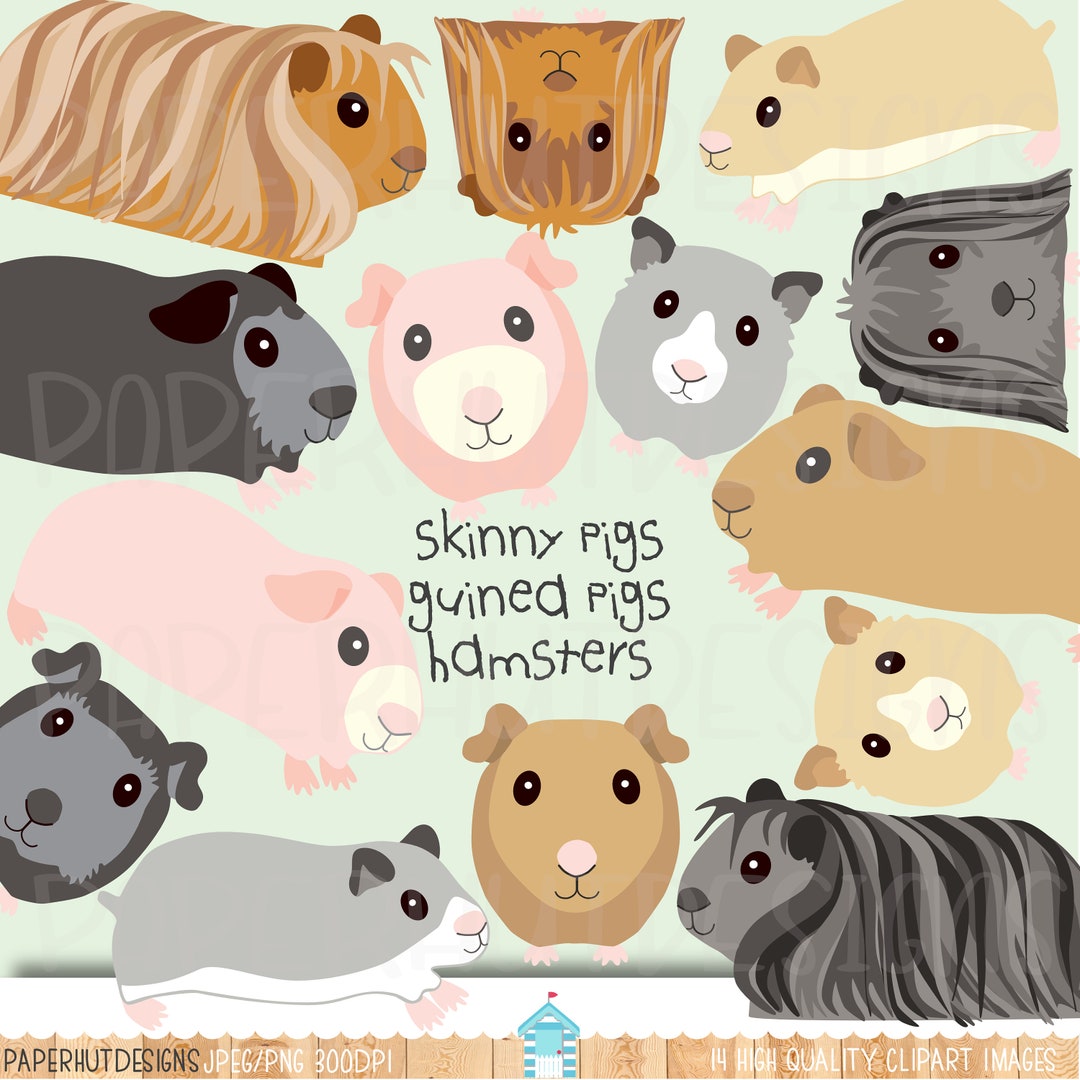 Guinea Pigs and Hamsters Clipart|skinny Pigs Clipart|guinea Pigs Clip ...