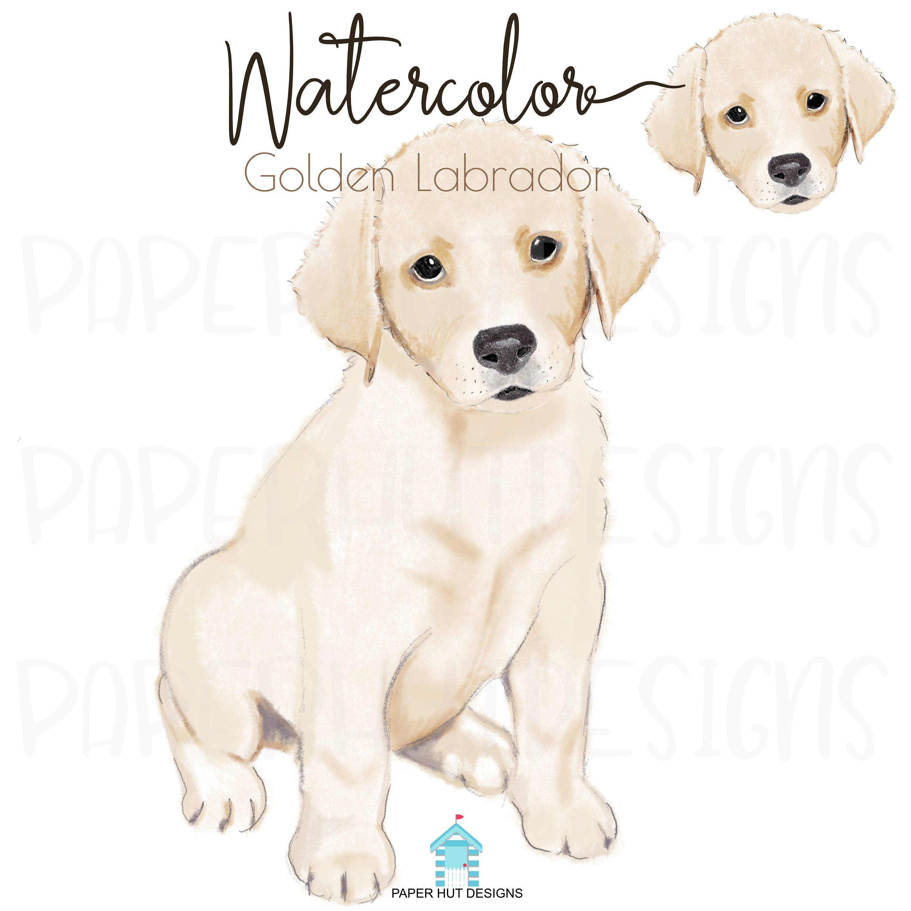 Watercolor Golden Labrador Digital Clipart Designsublimation - Etsy