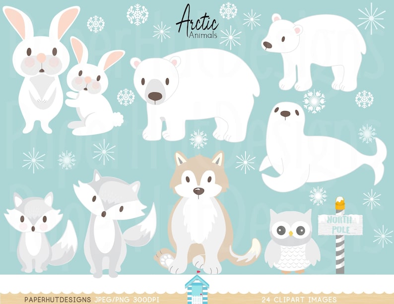 Arctic Animals Clipart-polar Animals Clipart-arctic Animals | Etsy
