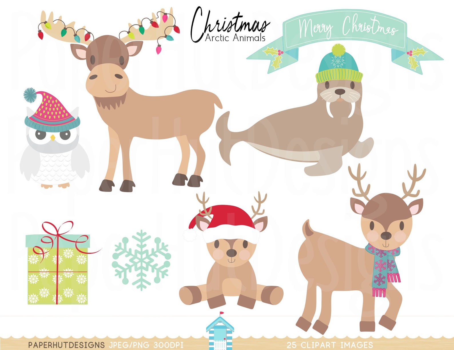 Christmas Arctic Animals Clipart-polar Animals-arctic Animals Clip Art ...