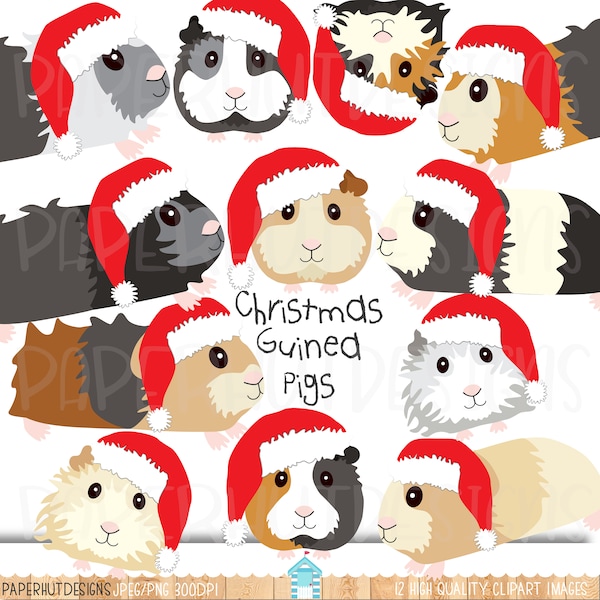 Pig Clipart - Etsy UK