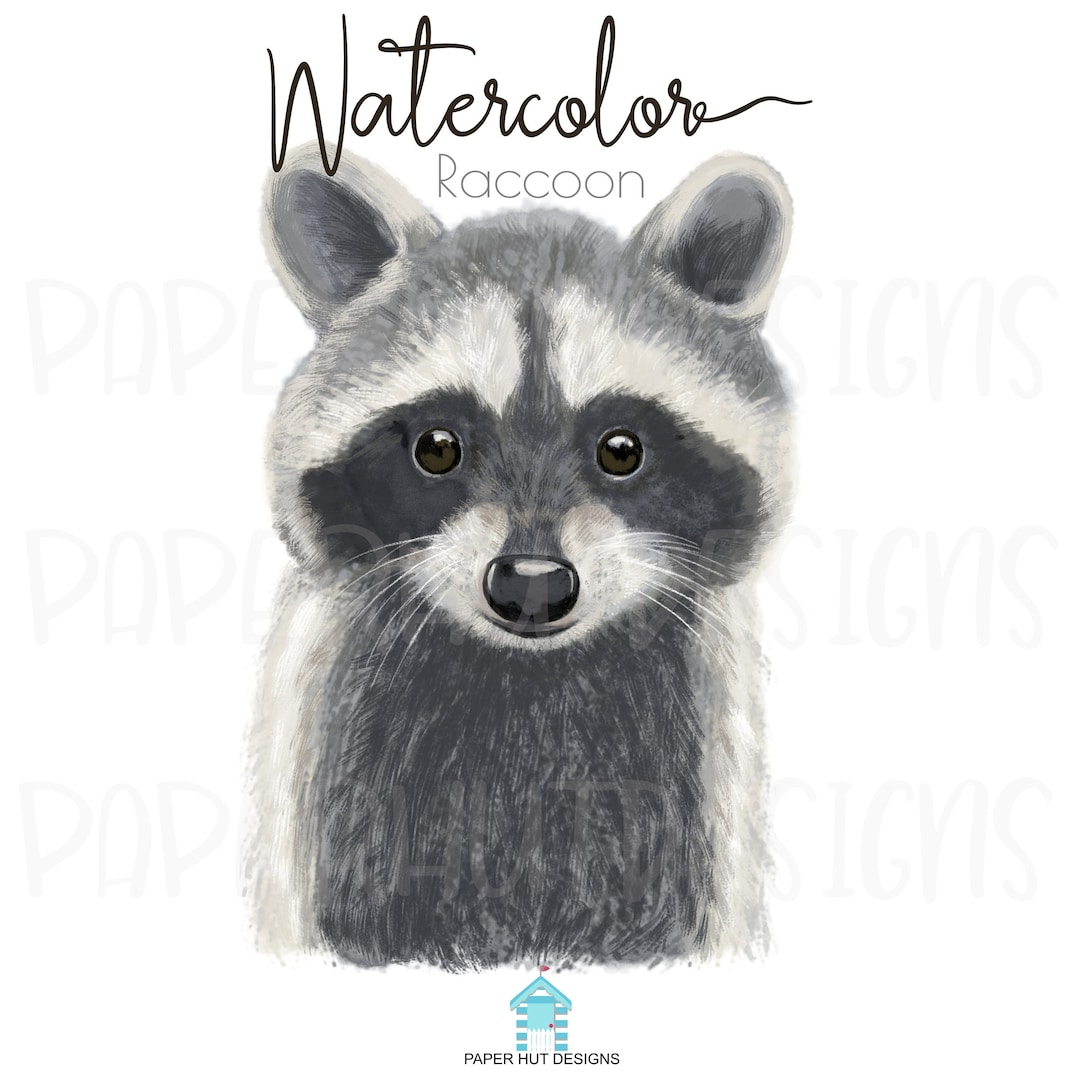 Watercolor Raccoon Digital Clipart|nursery Digital Raccoon Print ...