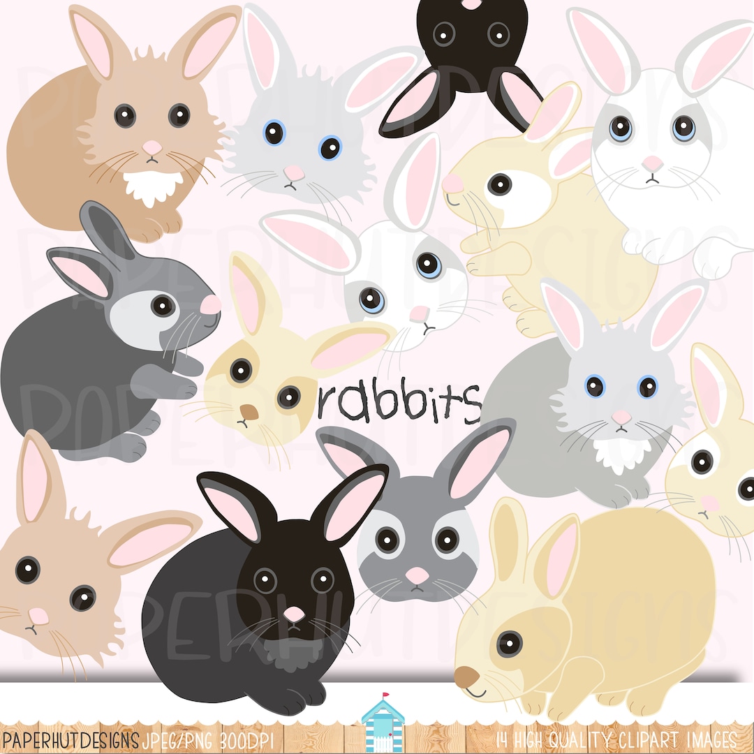 Bunny Clipart|rabbit Clipart|cute Bunny Rabbits Clip Art|rabbit Faces ...