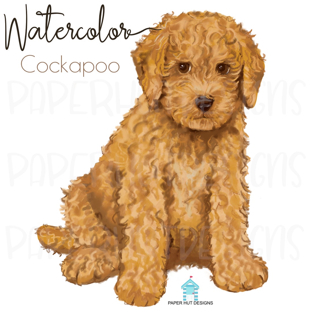 Watercolor Cockapoo Digital Clipart Design|sublimation Cockapoo ...