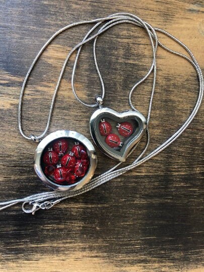 Ladybug Necklace Floating Locket Living Locket Ladybug | Etsy