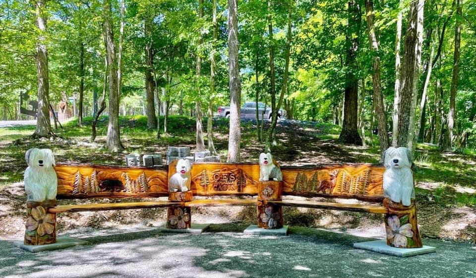 Chainsaw Carved Bench - Etsy