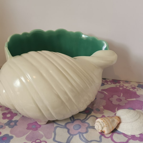 Seashell Pottery - Etsy