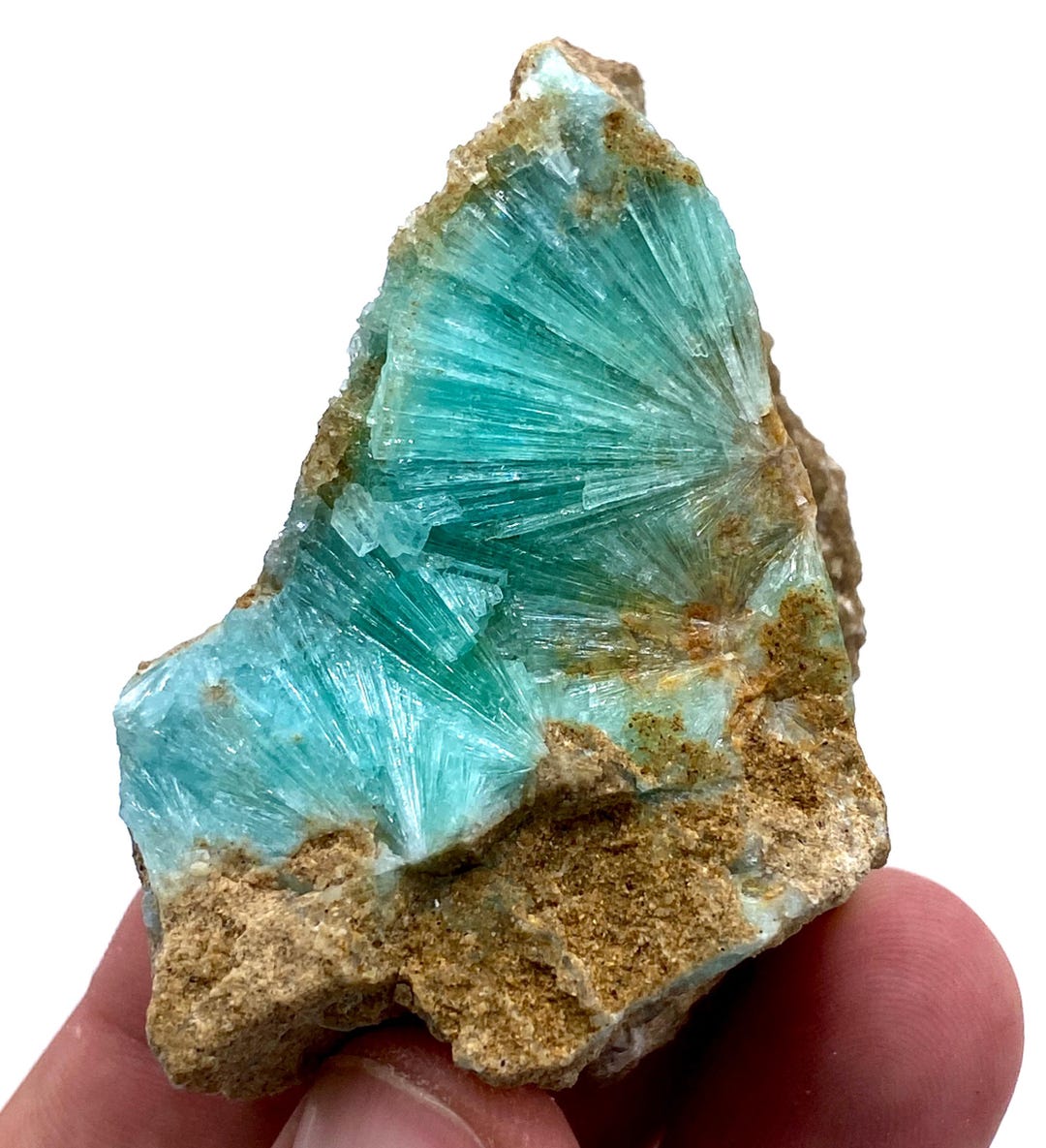 Flower Aragonite Specimen: Natural Crystal Collectible, Earthy Decor ...