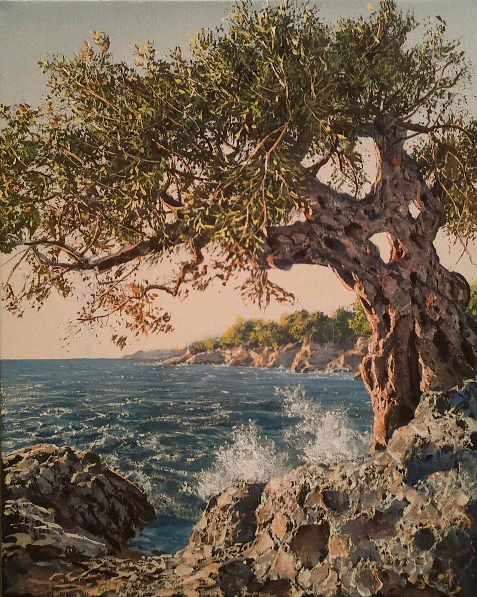 Olive Trees and Beautiful Sea ,original Oil Painting on Stretched ...
