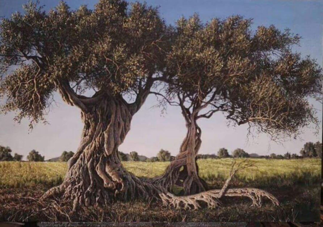 Olive Trees ,original Oil Painting on Stretched Canvas - Etsy