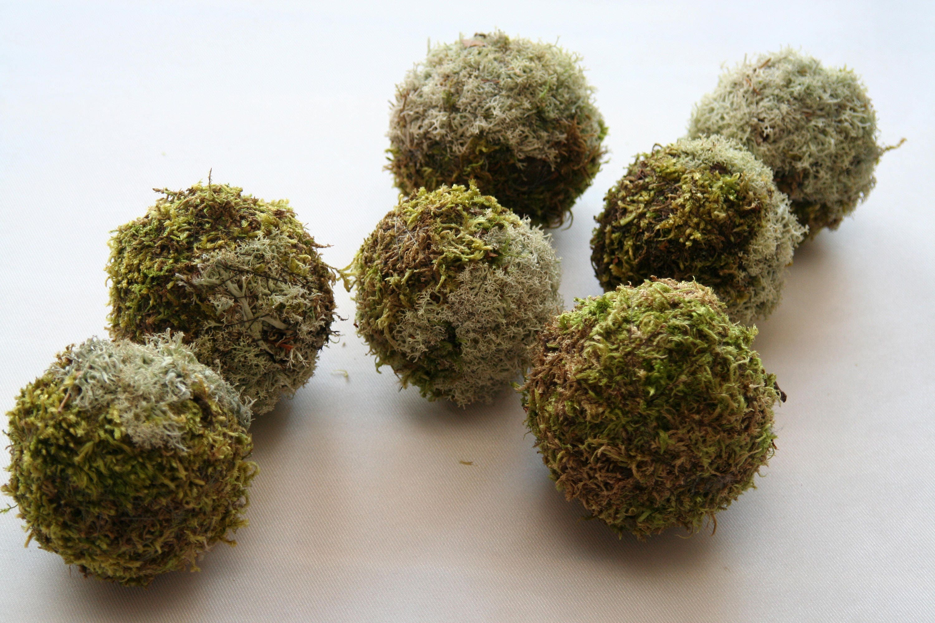 Moss Balls, Natural Rustic Decorative Green-reindeer Moss Wedding BALLS ...