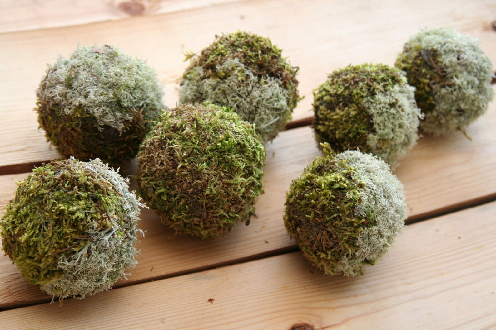 Moss Balls, Natural Rustic Decorative Green-reindeer Moss Wedding BALLS ...
