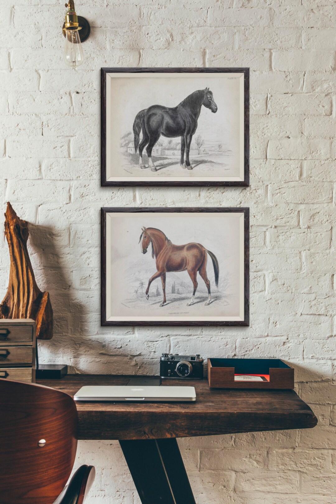 29 Large Antique Vintage Drawings of Horses From 1841- Equus - Equidae ...