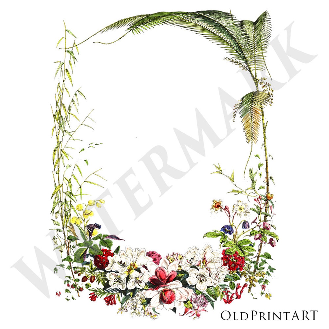 Elegant and Highly Detailed Colored Flower Frame Floral - Etsy