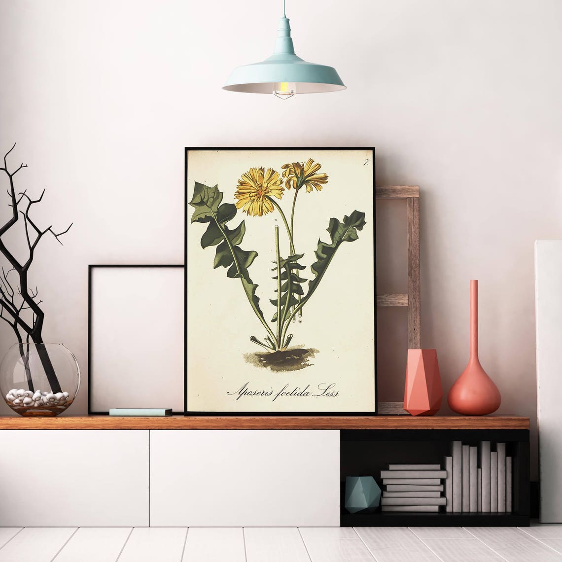 Collection of a 100 Alpine Tundra Plant/flower Images - Vintage Foral ...
