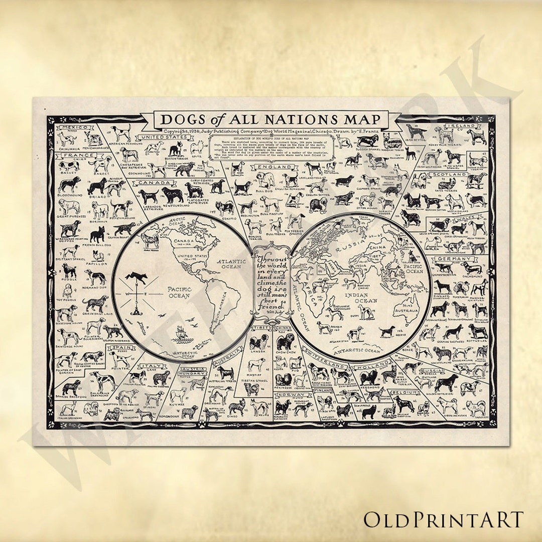 Pictorial Old Worldmap Showing the Dogs of All Nations - Vintage ...