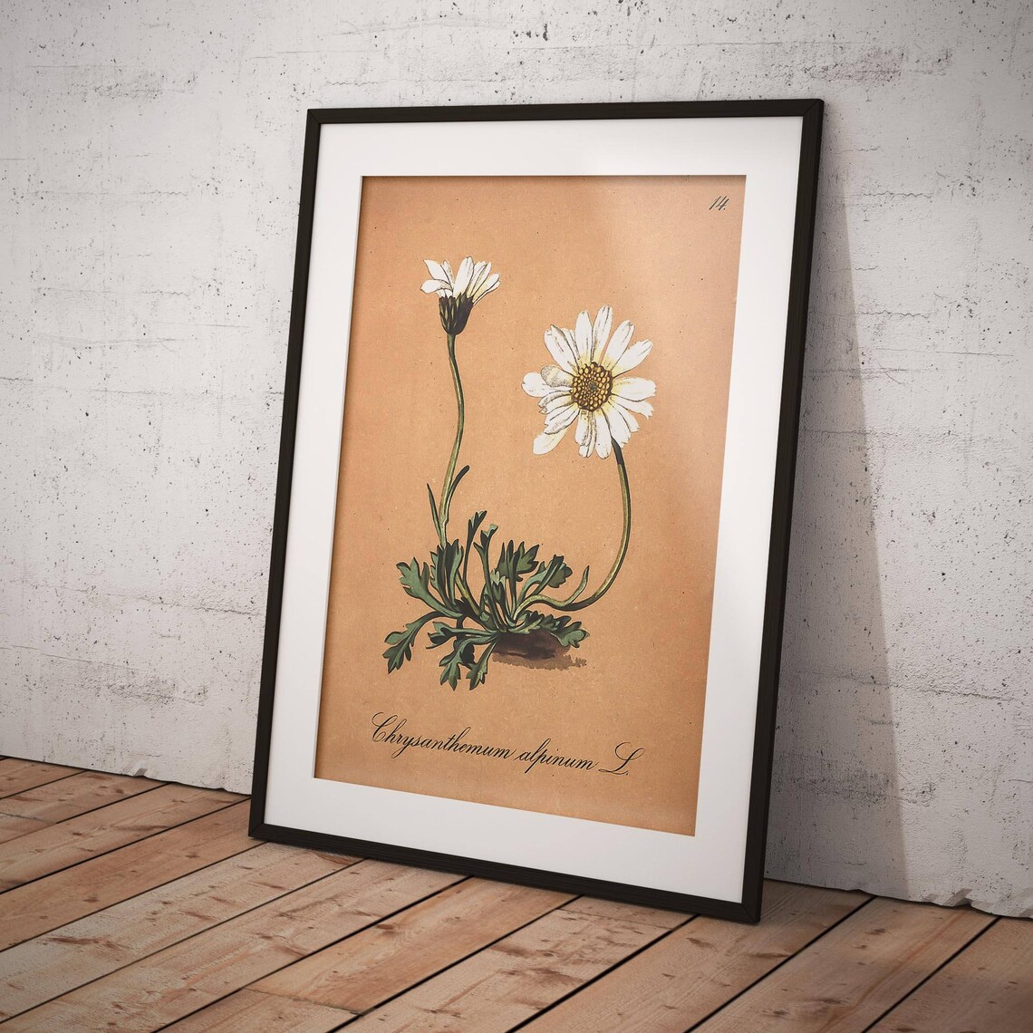 Collection of a 100 Alpine Tundra Plant/flower Images - Vintage Foral ...