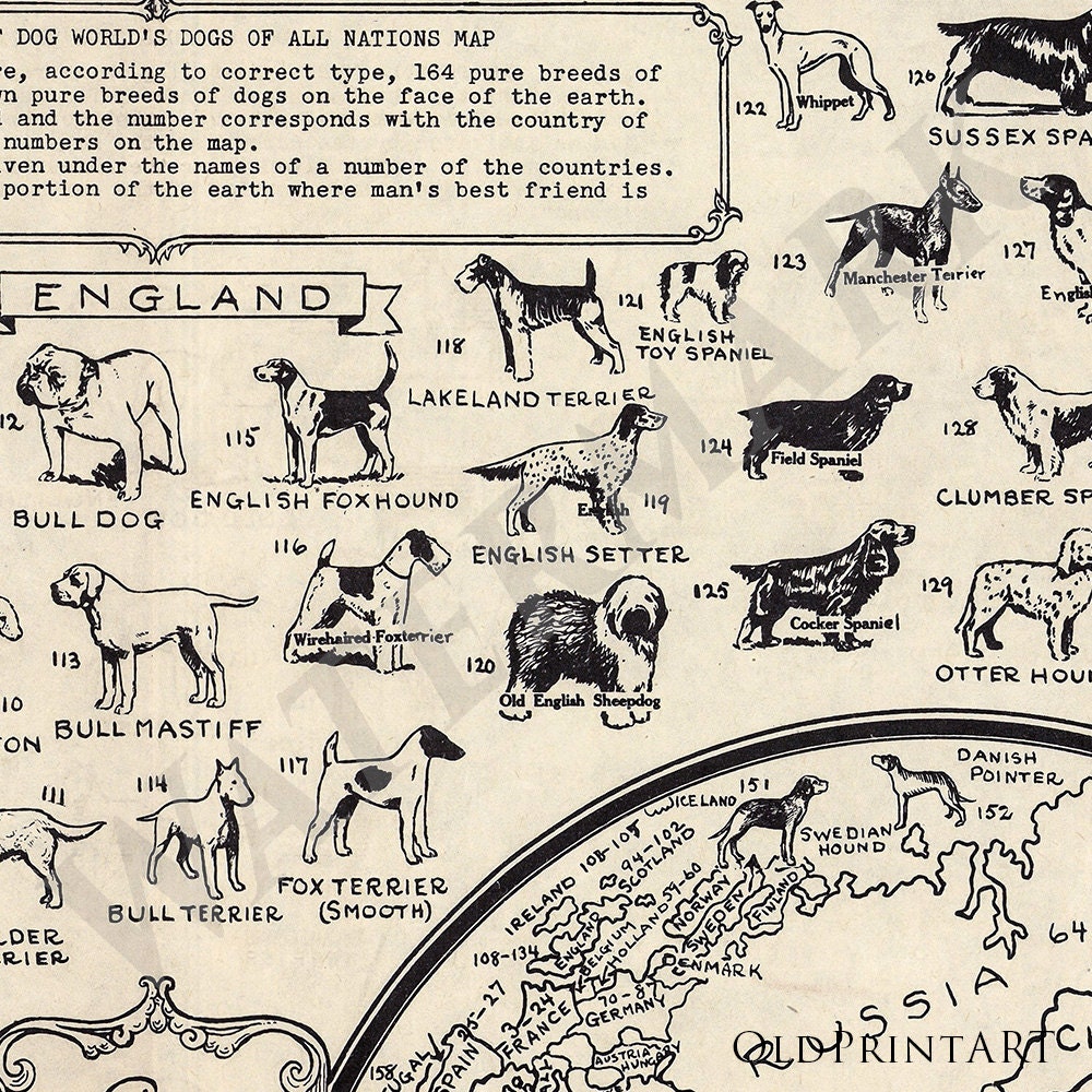 Pictorial Old Worldmap Showing the Dogs of All Nations - Etsy