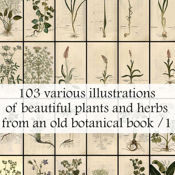 Botanical - Etsy