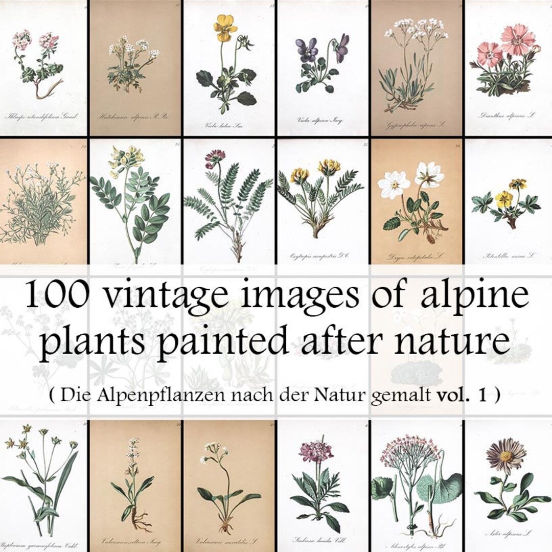 100 Fantastic Alpine Flora Botany Images - Vintage Botanical Poster ...